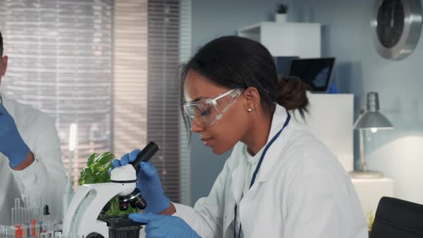 Mixed race woman in lab coat and safety glasses working with microscope ...