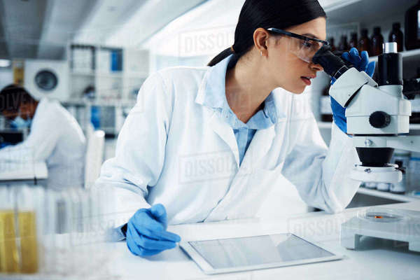 Microscope, digital tablet and woman scientist in a laboratory for science, research and data ...