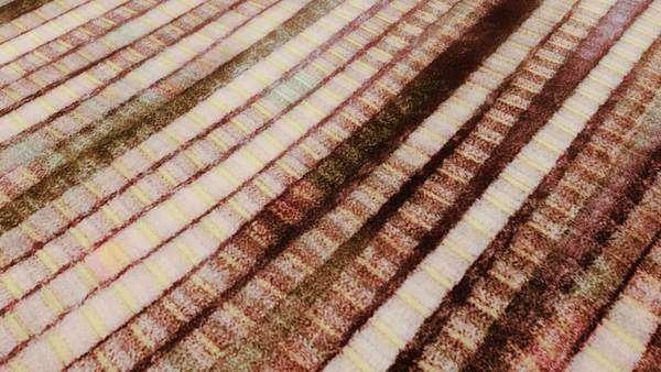 Collagen fibres. Coloured transmission electron micrograph (TEM ...