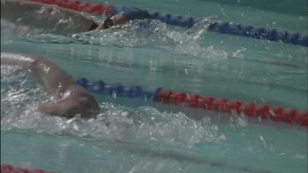 Swimmers swim across the pool, turn and swim back. - HD Royalty-free ...