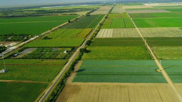 Crops Aerial