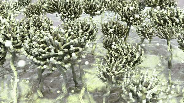 Science Photo Library | Dissolve