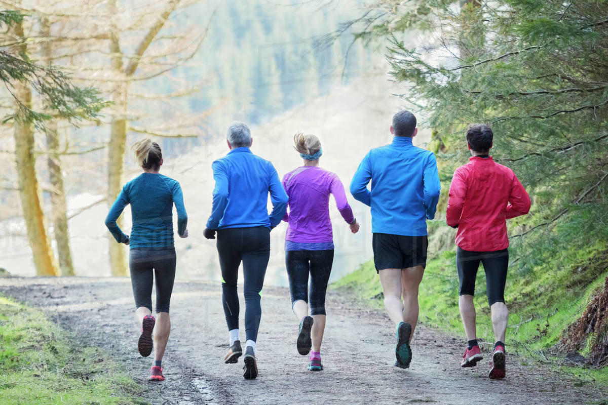 Family jogging in woods - Stock Photo - Dissolve