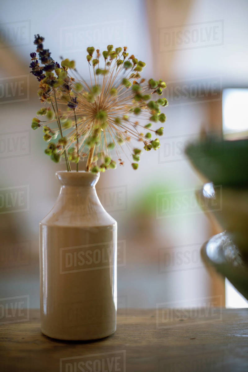 Rustic flower stems in ceramic vase - Royalty-free Stock Photo | Dissolve