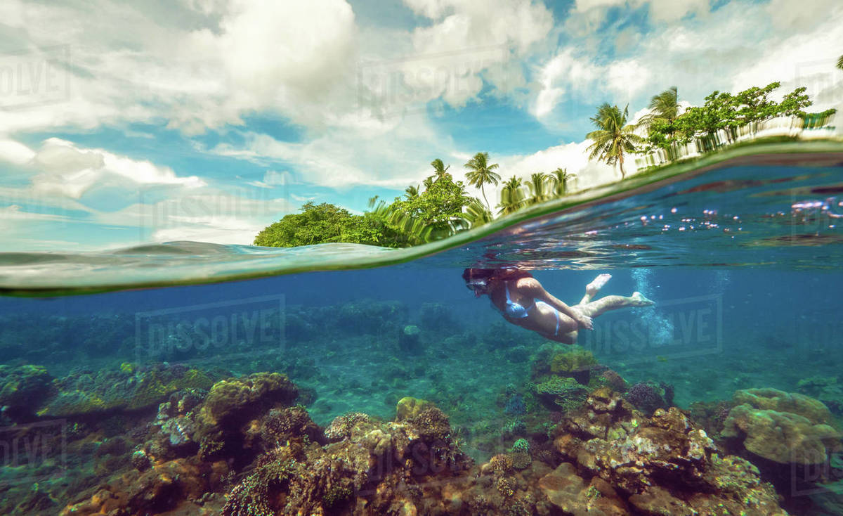 Split underwater photo of a girl snorkeling with mask in tropical ocean ...