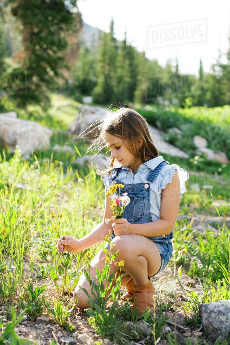 Girl picking wildflowers in meadow - Royalty-free Stock Photo | Dissolve