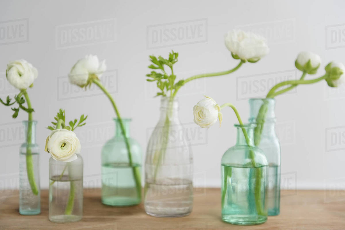 White flowers in bottles on wooden table - Stock Photo - Dissolve