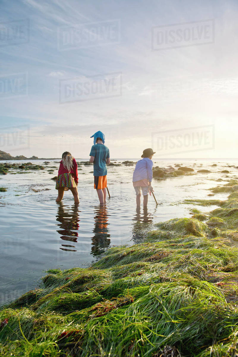 Children exploring tide pools in La Jolla, California - Royalty-free ...
