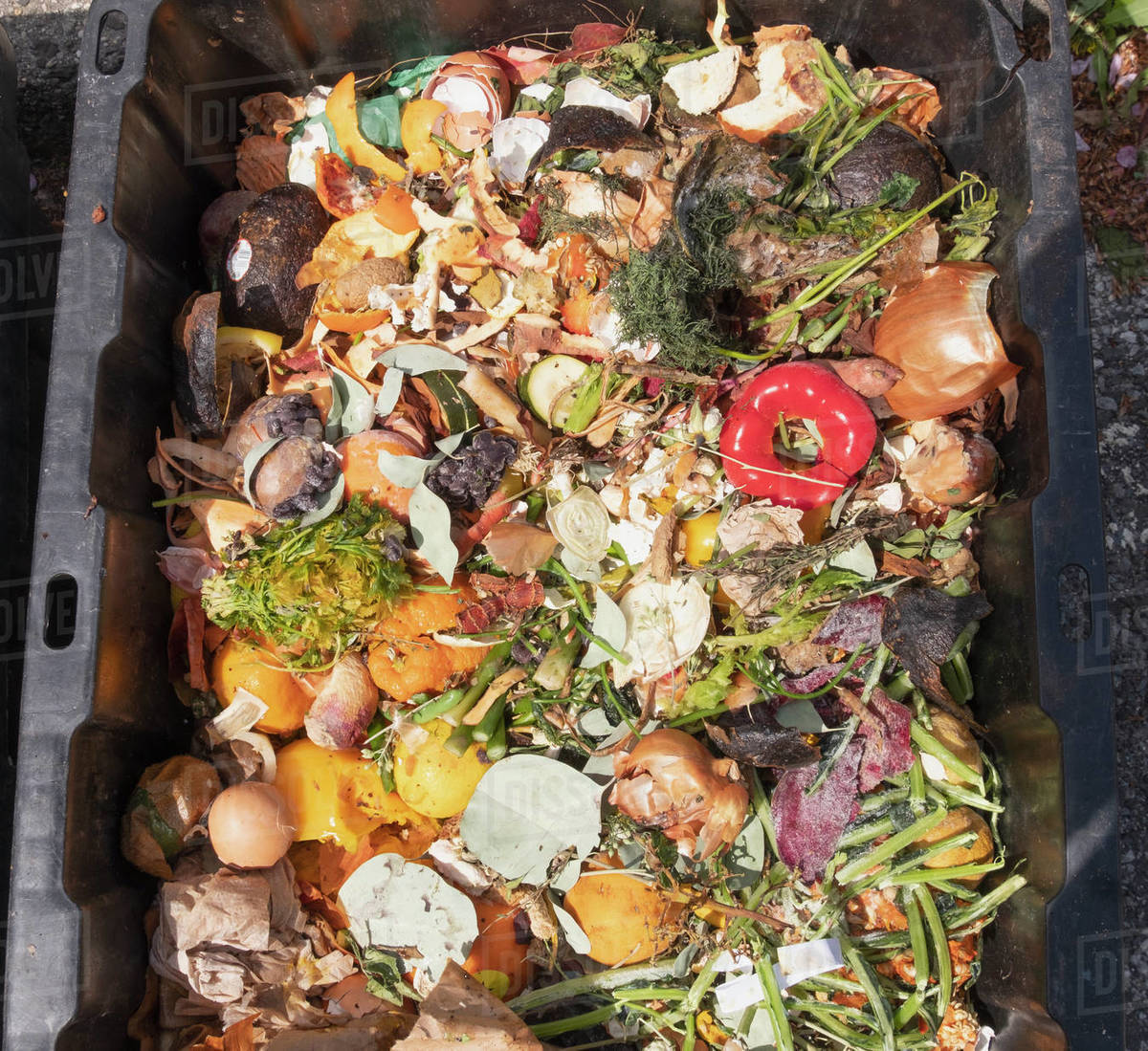Leftovers in compost container - Royalty-free Stock Photo | Dissolve