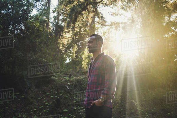 Man standing in sunlight in forest - Royalty-free Stock Photo | Dissolve