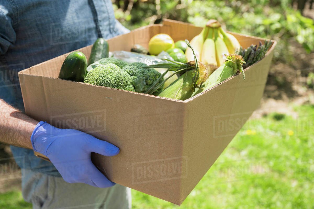 Delivery person holding box with fruit and vegetables - Royalty-free ...