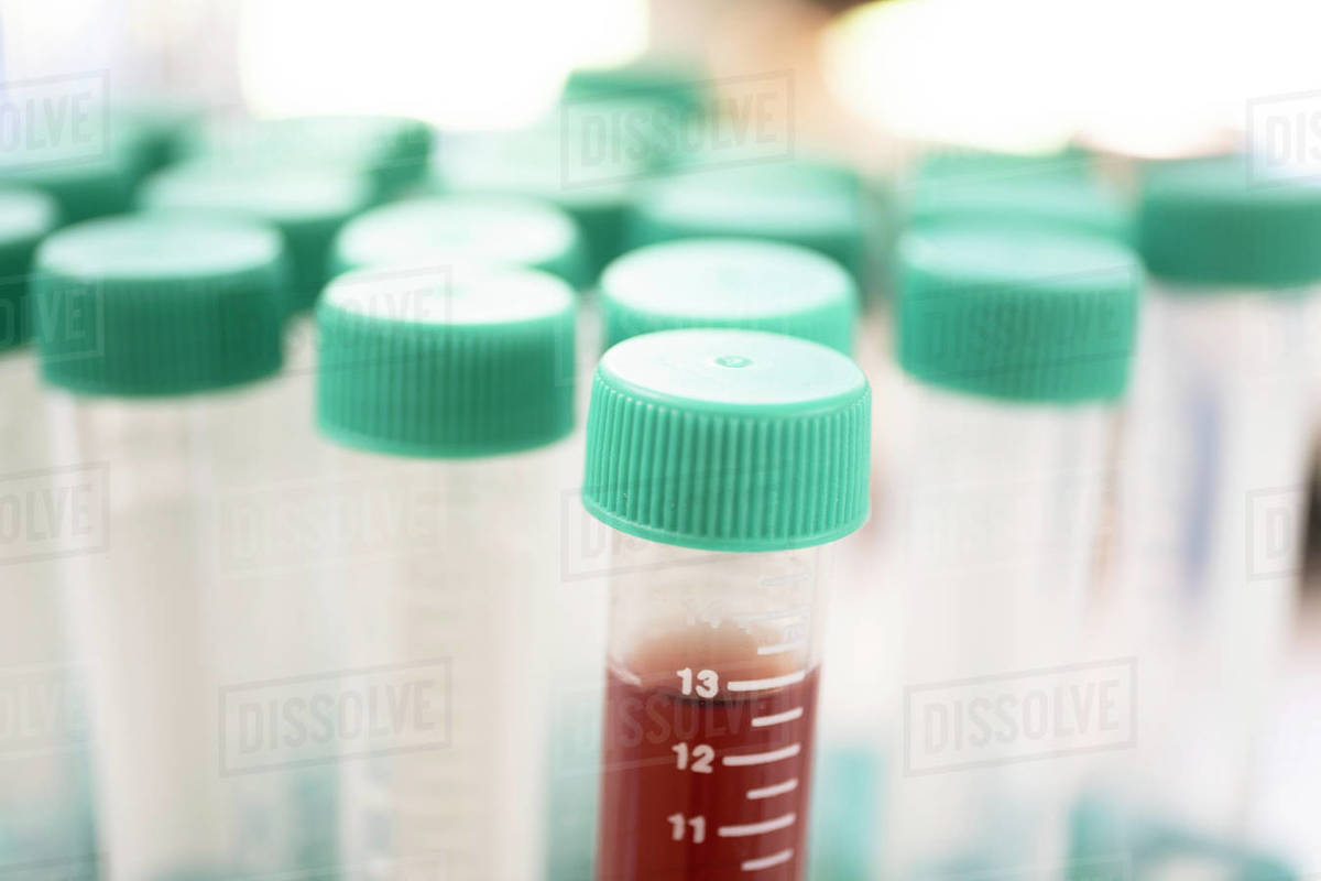 Close-up of test tubes in laboratory - Royalty-free Stock Photo | Dissolve