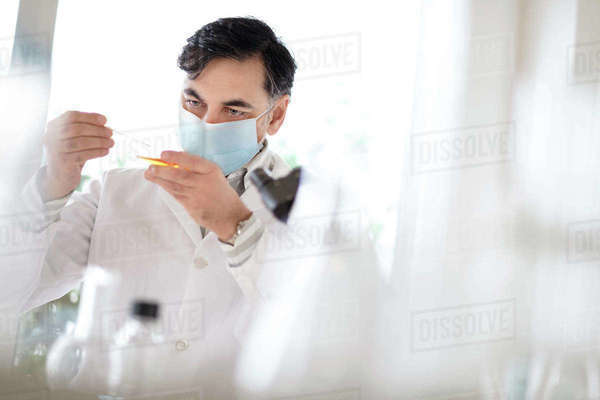 Doctor testing sample - Stock Photo - Dissolve