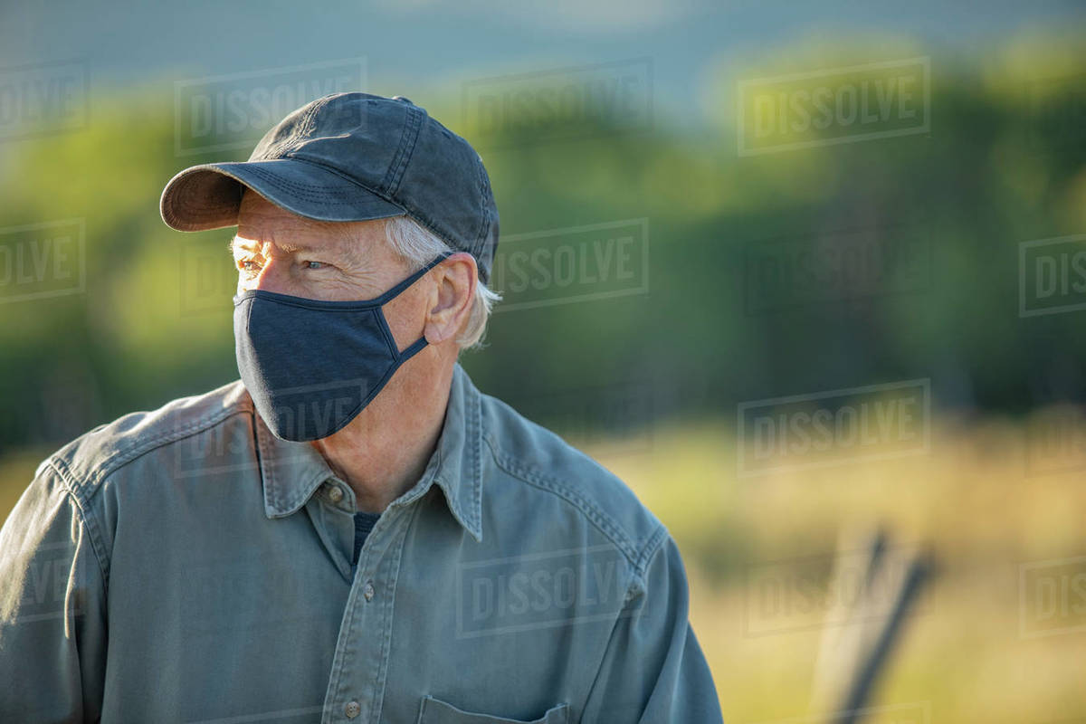 USA, Idaho, Bellevue, Portrait of farmer in face mask - Stock Photo ...