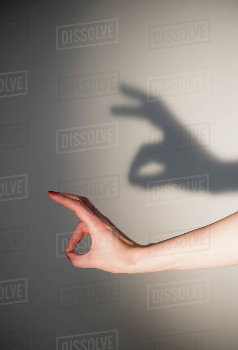 Shadow rabbit - Stock Photo - Dissolve