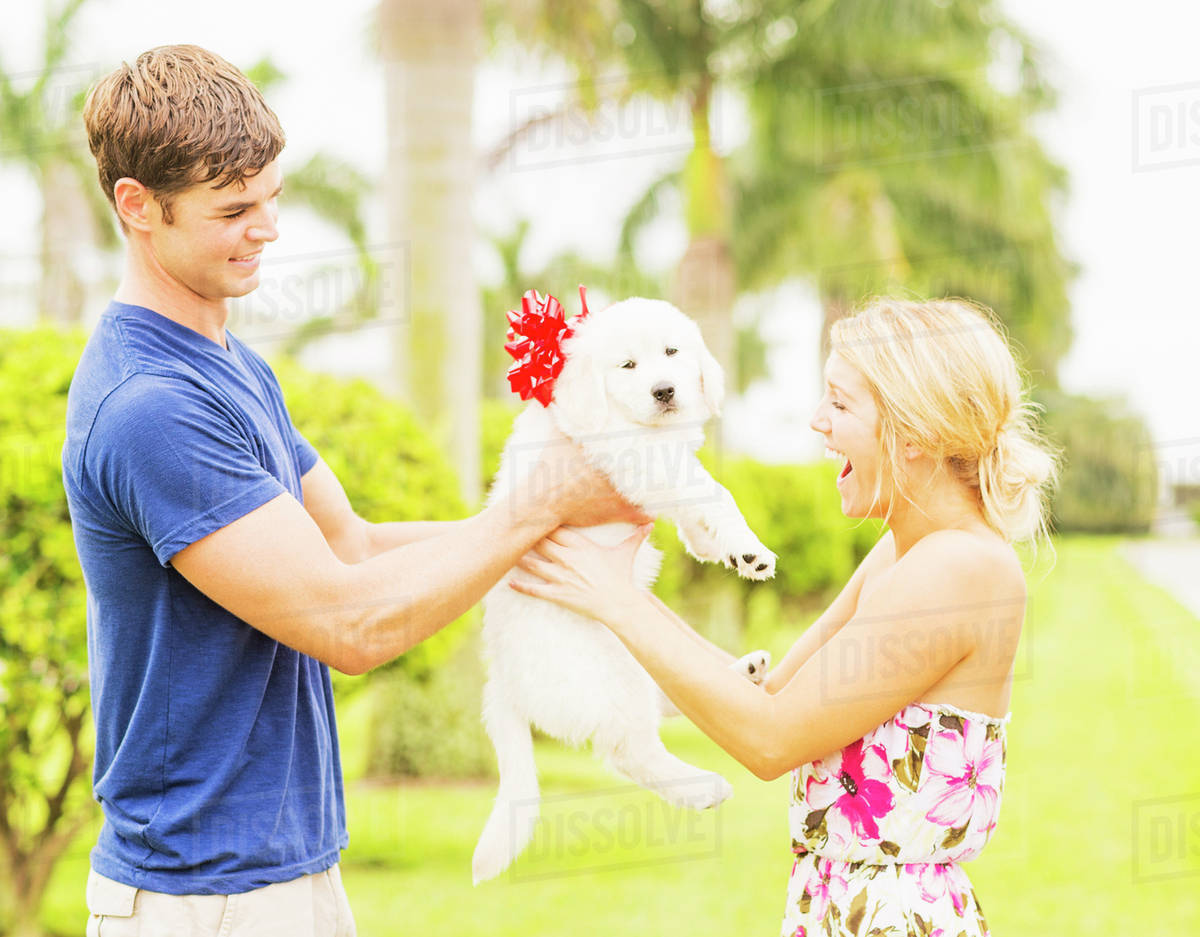Boyfriend giving white puppy with ribbon bow to girlfriend as present ...