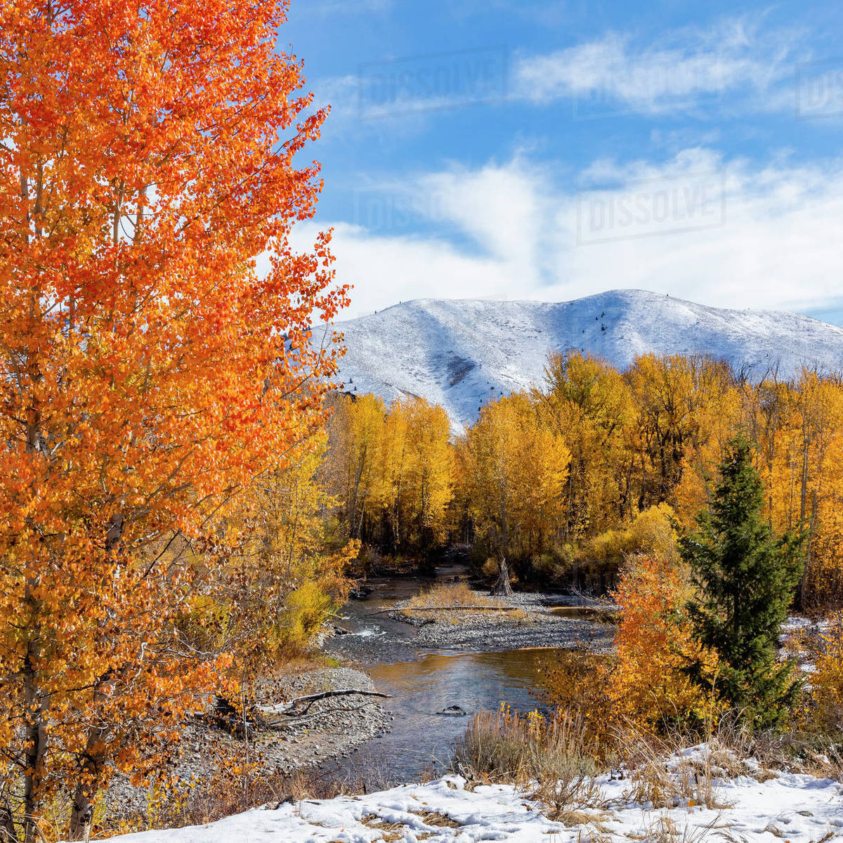 USA, Idaho, Ketchum, Fall foliage in mountains near Sun Valley - Stock ...