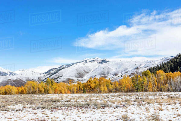 USA, Idaho, Ketchum, Fall foliage in mountains near Sun Valley - Stock ...