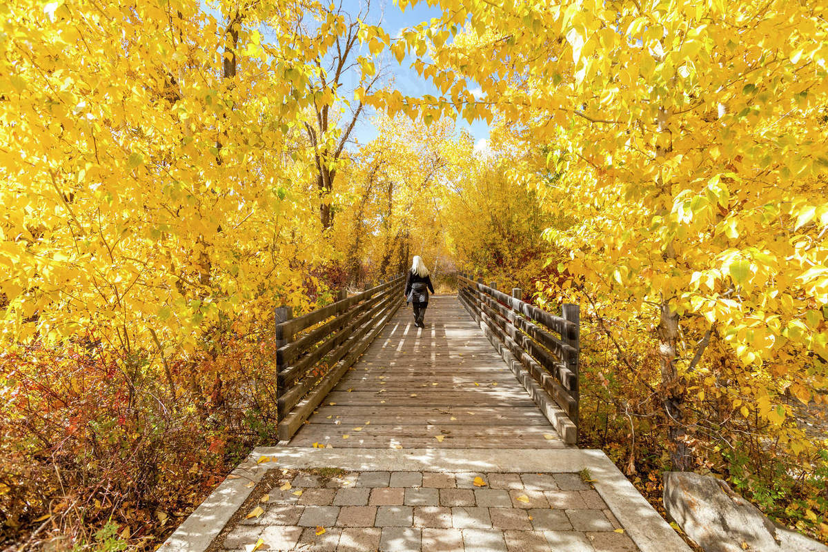 USA, Idaho, Bellevue, Rear view of woman walking on footbridge ...