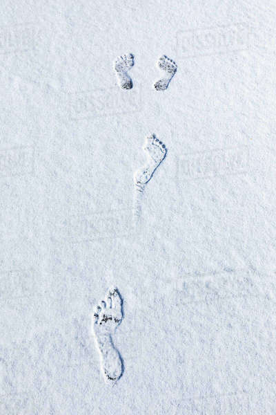 Overhead view of bare footprints in fresh snow - Royalty-free Stock ...