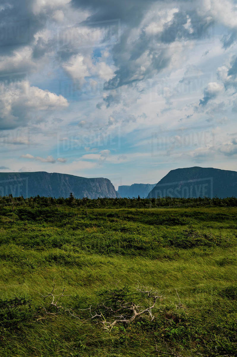 Canada, Labrador, Newfoundland, Long Range Mountains, Mountain ...