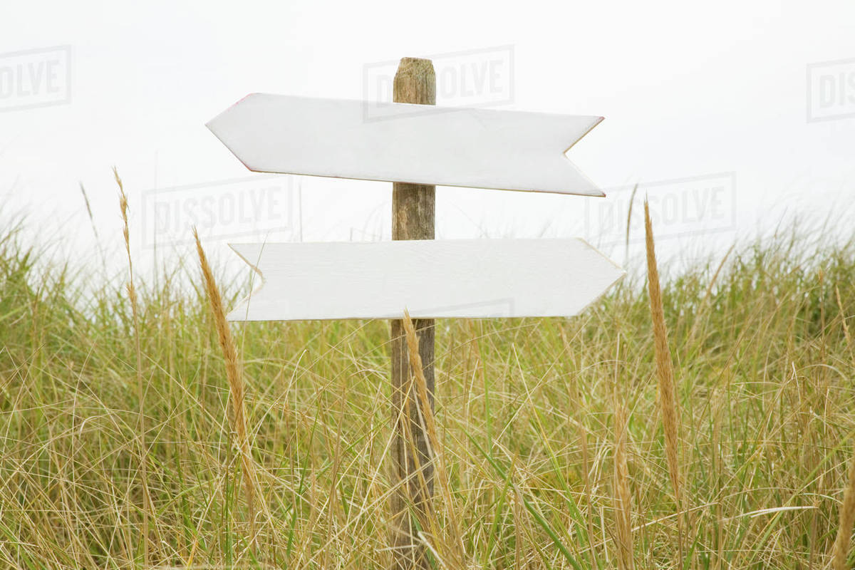 USA, Massachusetts, Nantucket Island, Blank directional signs in grassy ...