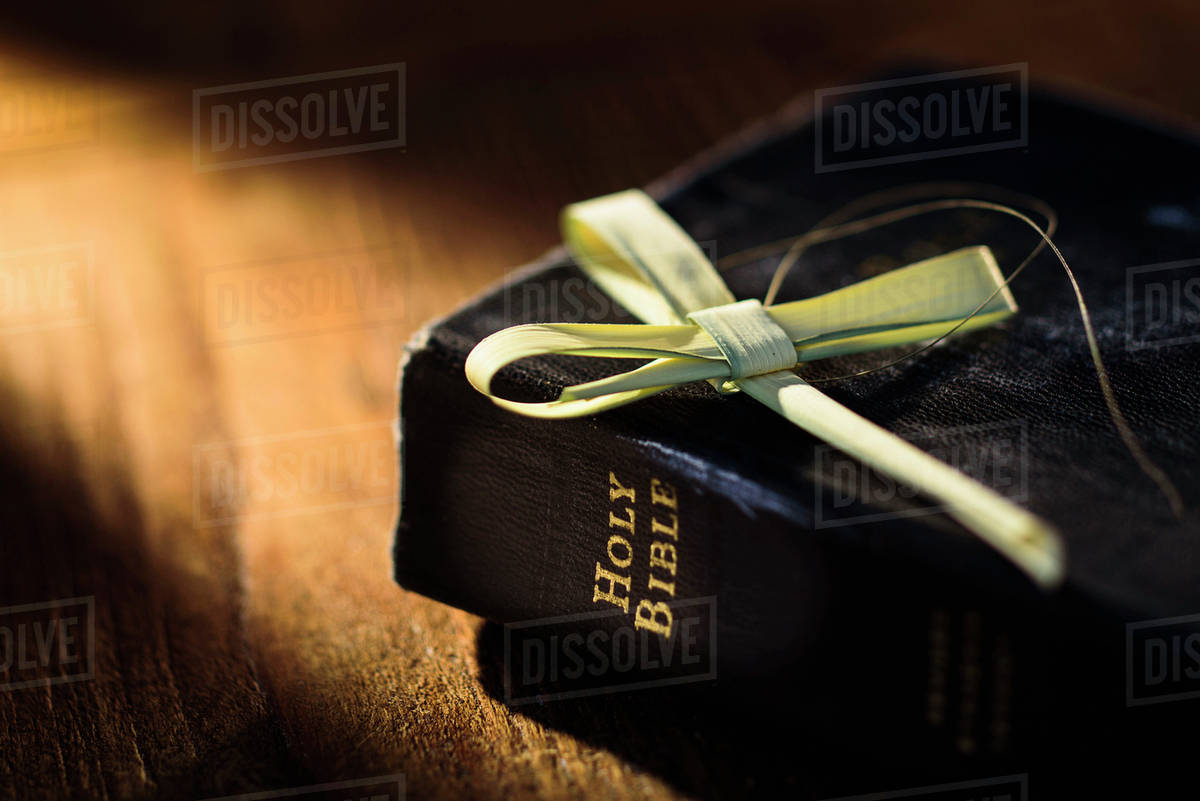 Close up of Bible on table - Royalty-free Stock Photo | Dissolve