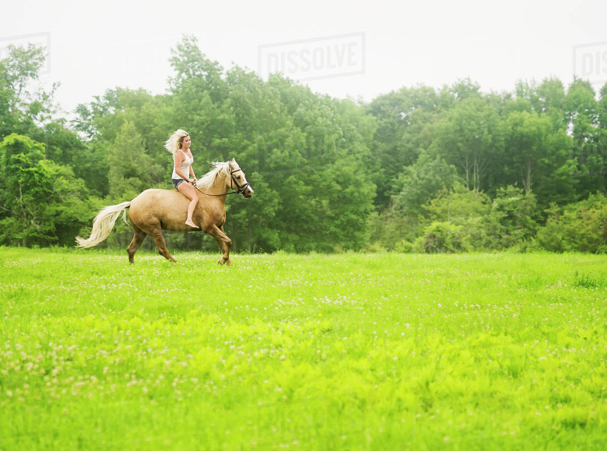 Woman horseback riding in countryside - Royalty-free Stock Photo | Dissolve