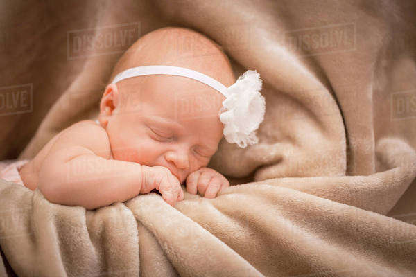 Portrait of newborn baby (0-1 months) - Stock Photo - Dissolve