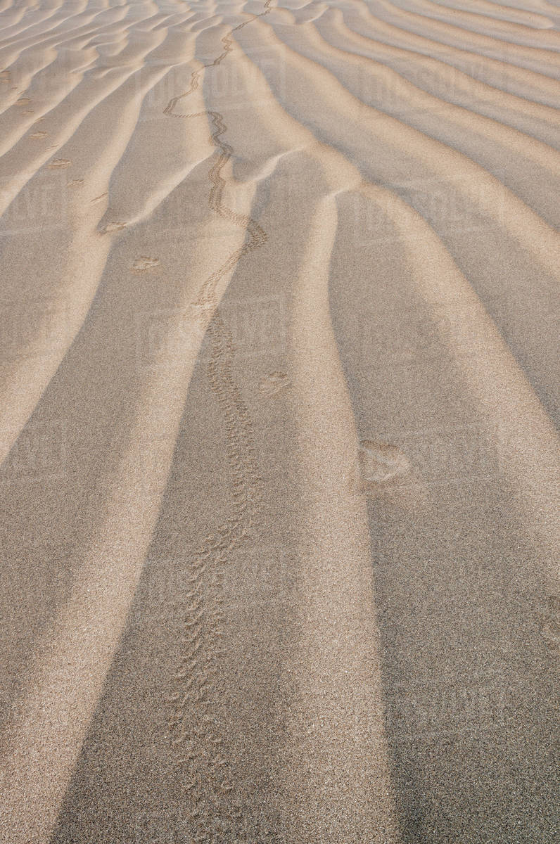 Close-up view of rippled sand - Royalty-free Stock Photo | Dissolve