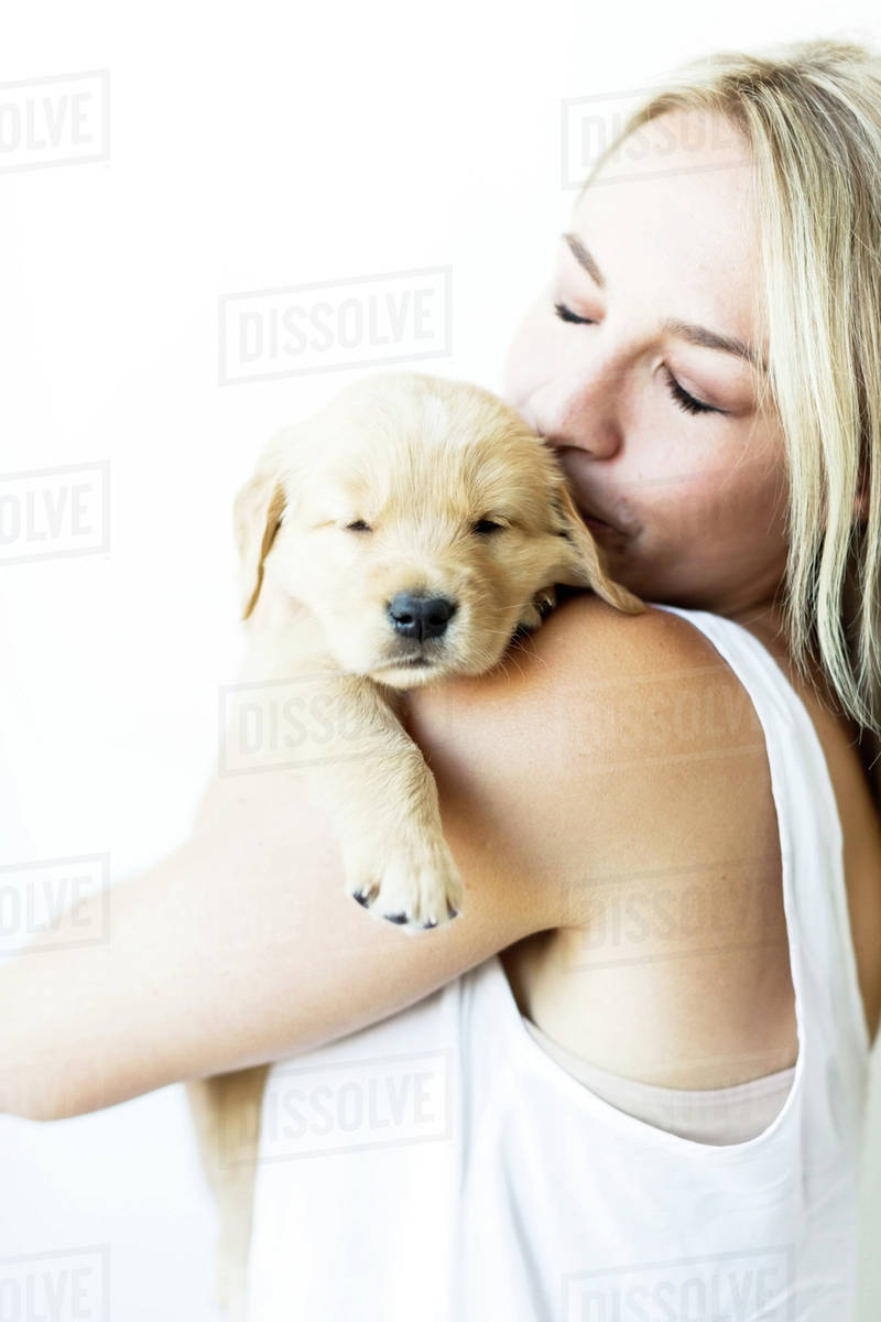 Studio shot of Golden Retriever puppy with owner - Royalty-free Stock ...