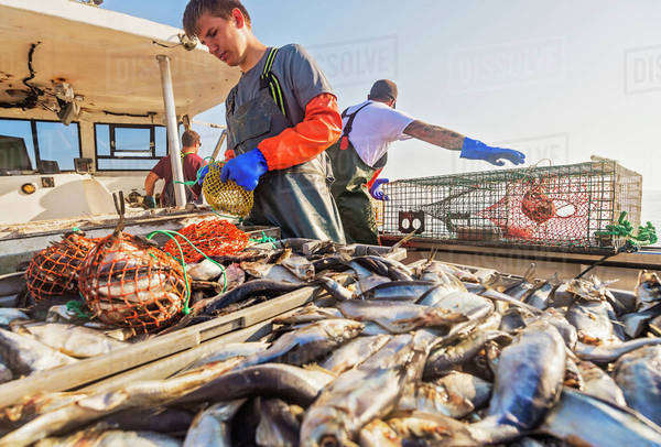 Three fishermen working on boat - Royalty-free Stock Photo | Dissolve