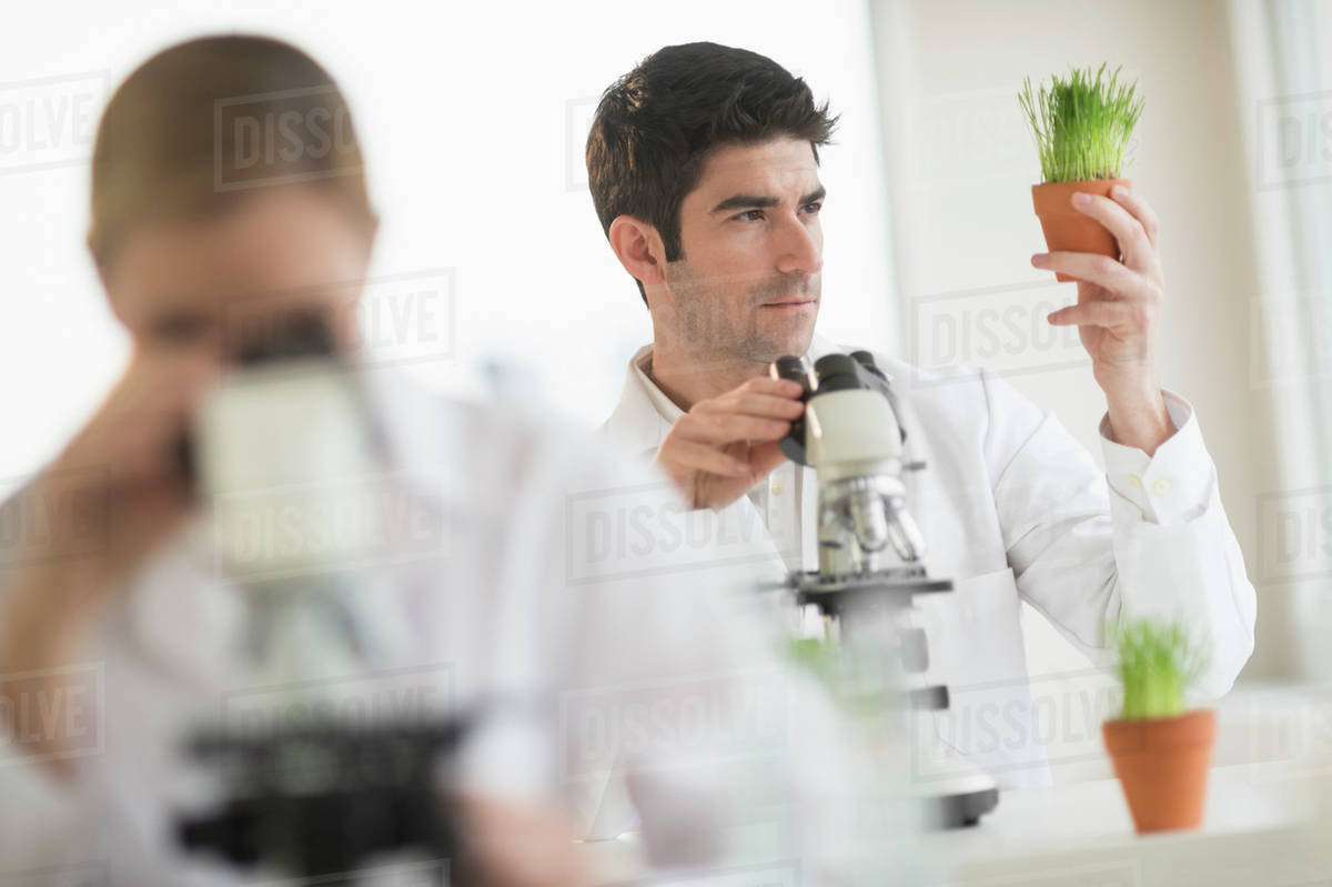 Scientists doing research on microscopes - Royalty-free Stock Photo ...