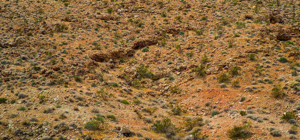 Desert landscape - Royalty-free Stock Photo | Dissolve
