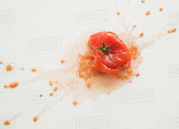 Studio Shot of smashed tomato - Stock Photo - Dissolve