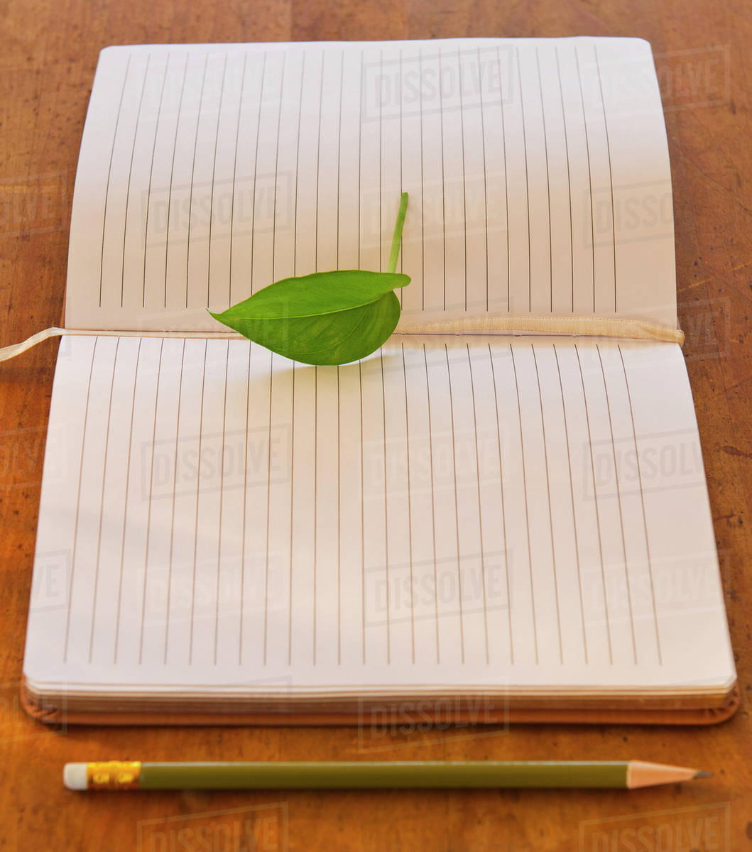 Close up of leaf lying on open notebook, studio shot - Stock Photo ...