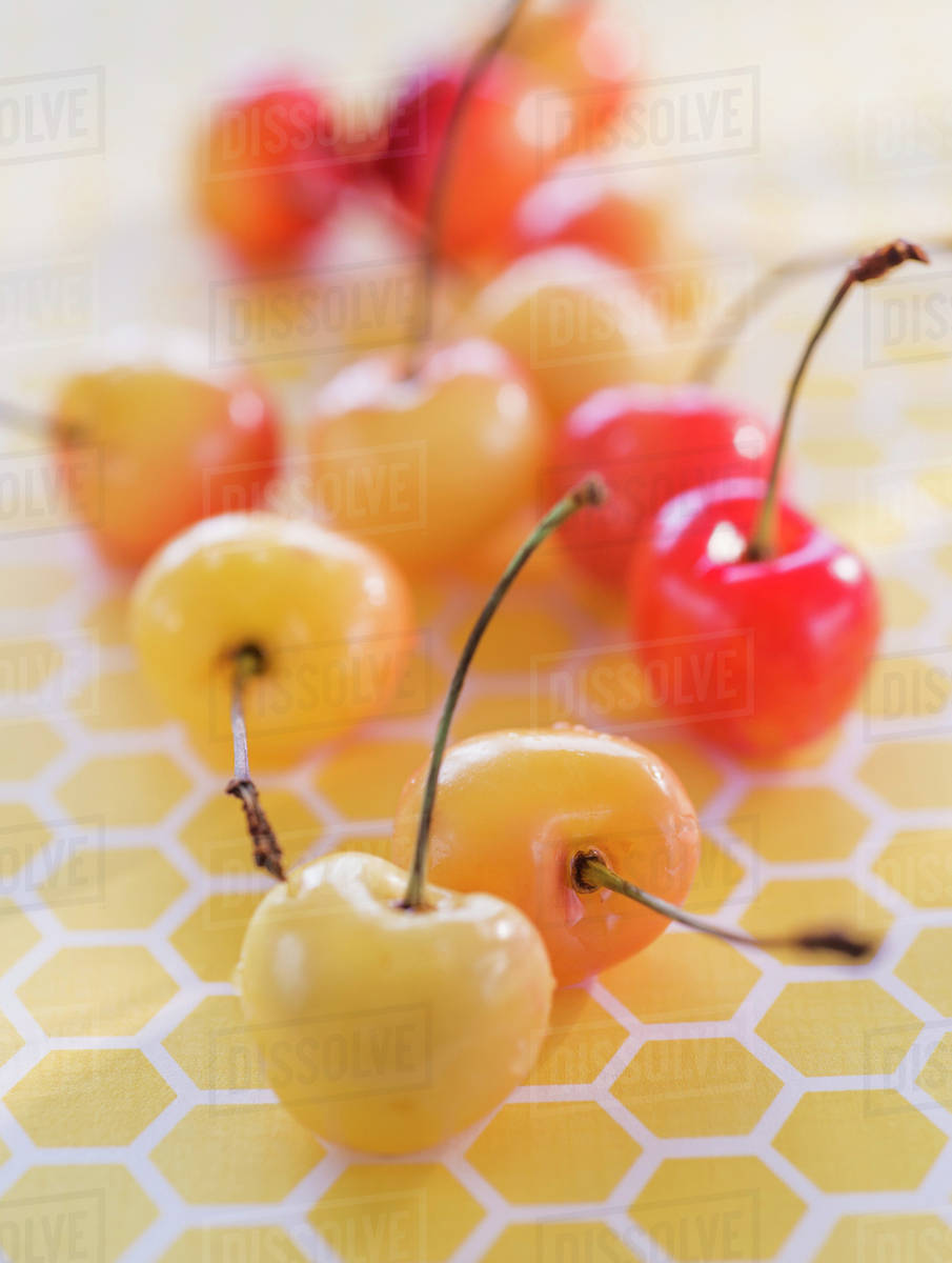 Close-up of cherries - Royalty-free Stock Photo | Dissolve