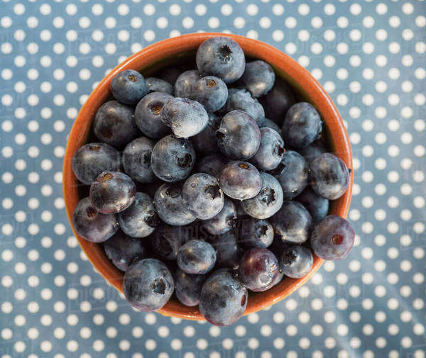 Blueberries in bowl - Royalty-free Stock Photo | Dissolve