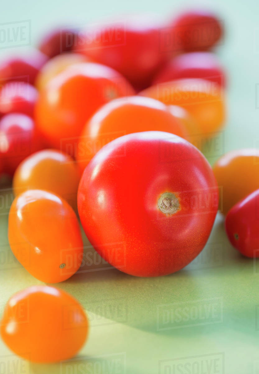 Studio Shot of tomatoes - Royalty-free Stock Photo | Dissolve