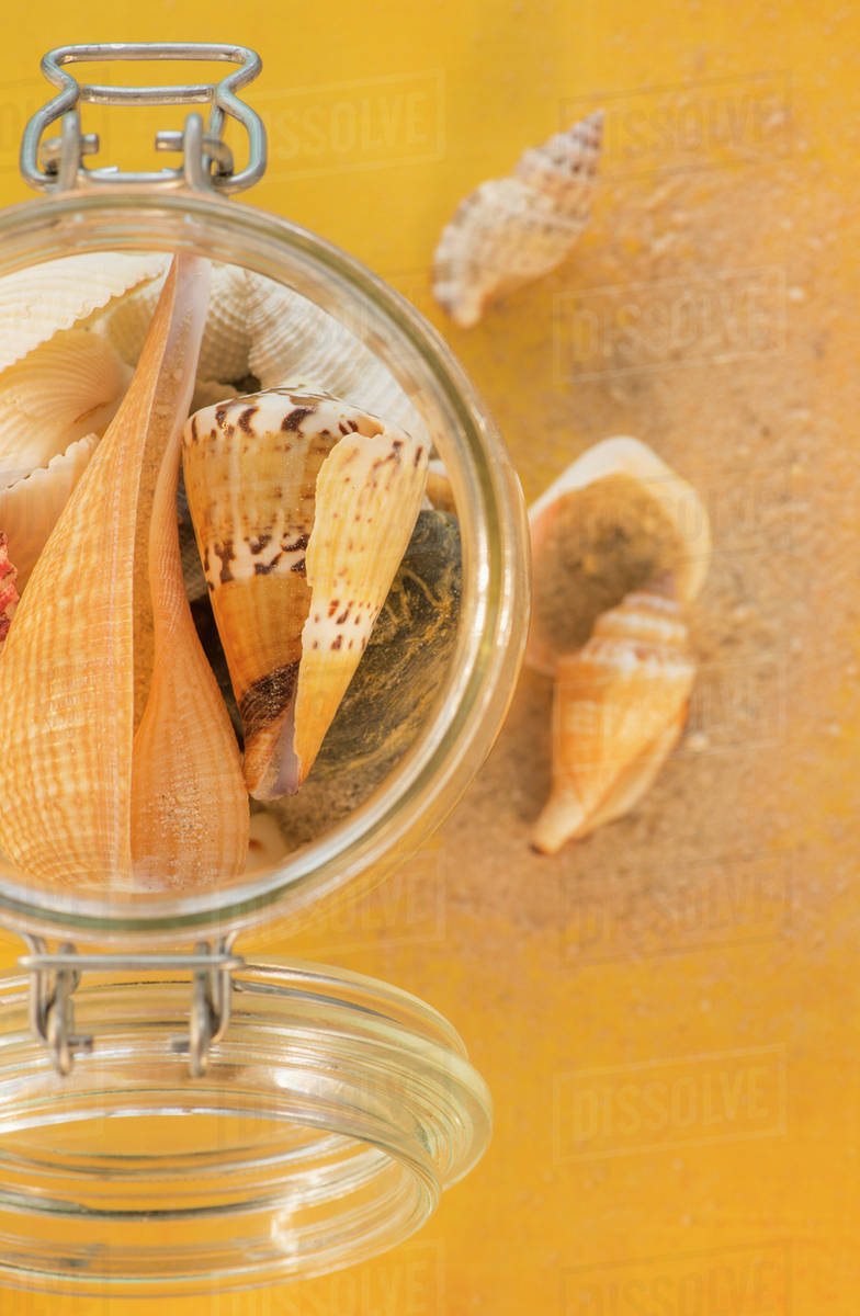 Composition of sea shells in glass jar on yellow background - Stock ...