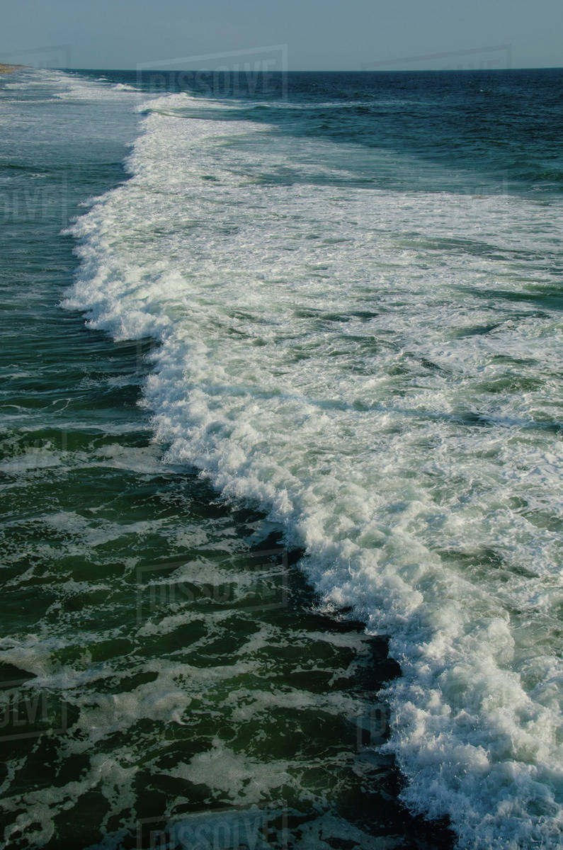 Outer Banks, water's edge - Royalty-free Stock Photo | Dissolve