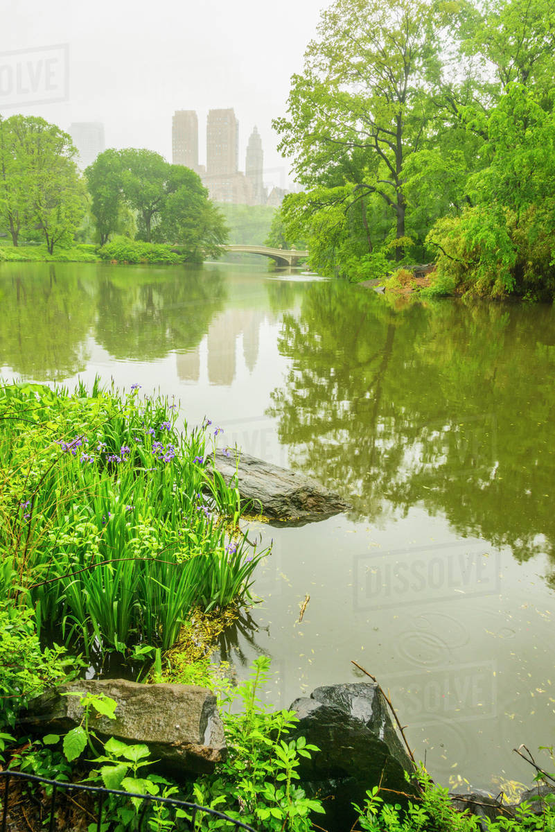 Pond in central park - Royalty-free Stock Photo | Dissolve