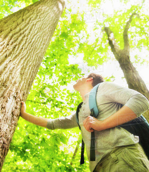 Man looking at tree - Royalty-free Stock Photo | Dissolve