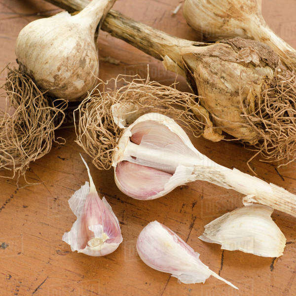 Studio shot of garlic - Royalty-free Stock Photo | Dissolve