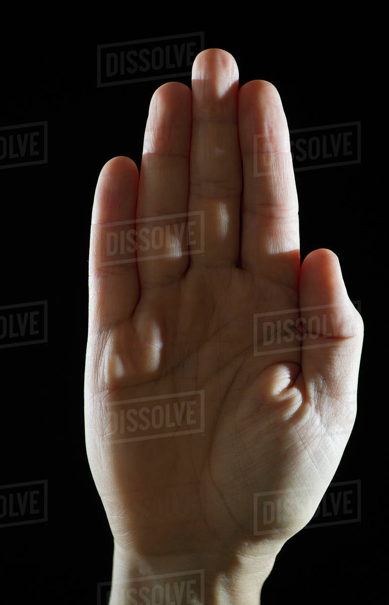 Studio shot of human palm - Royalty-free Stock Photo | Dissolve