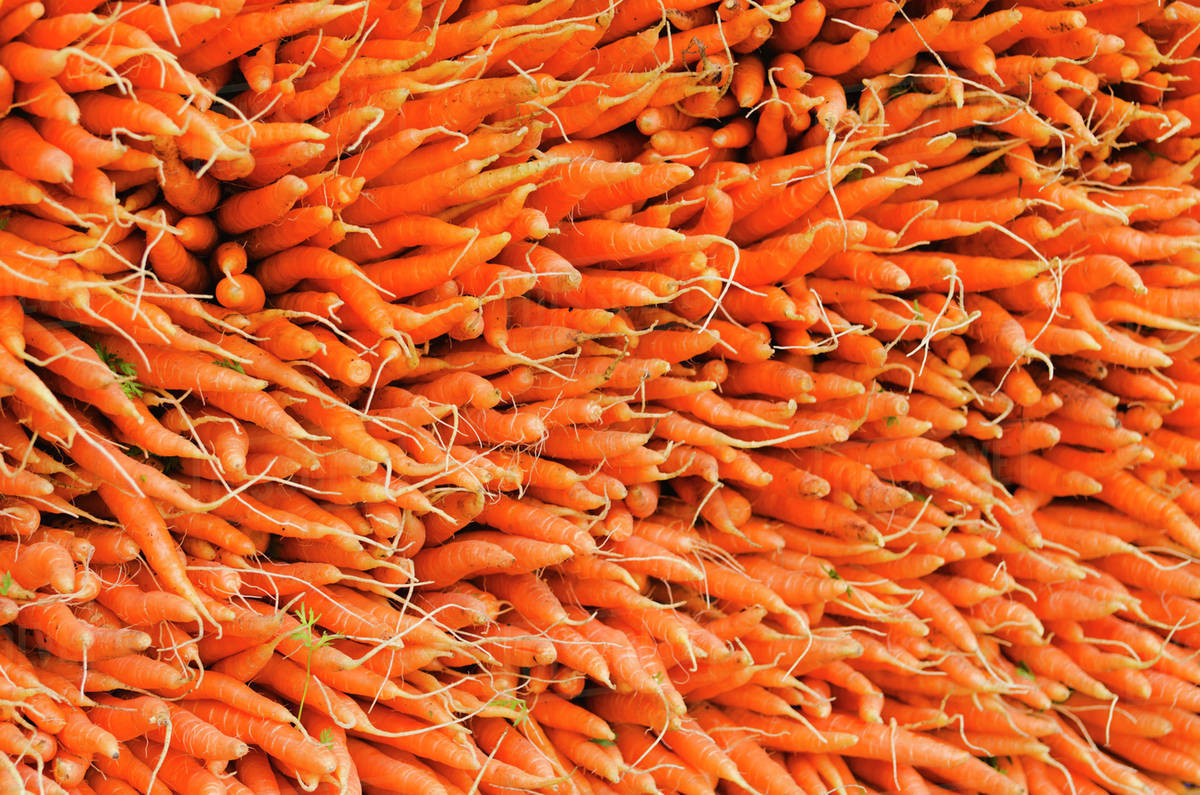 Carrots for sale - Stock Photo - Dissolve