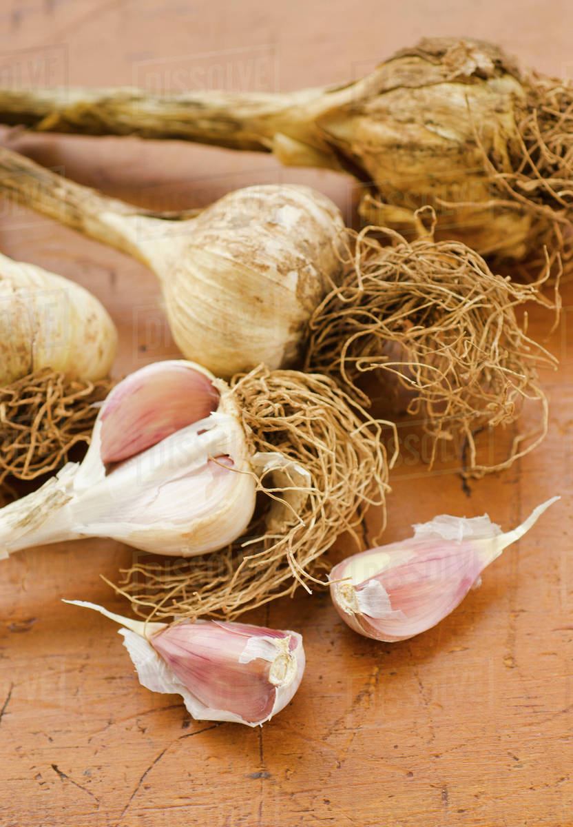 Studio shot of fresh garlic - Royalty-free Stock Photo | Dissolve