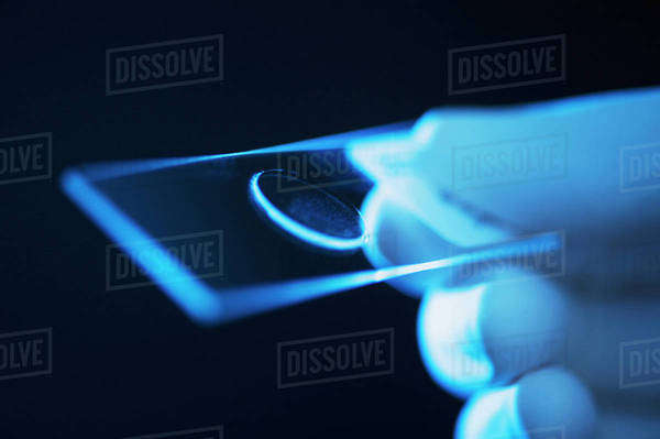 Studio shot of hand holding microscope slide - Royalty-free Stock Photo ...