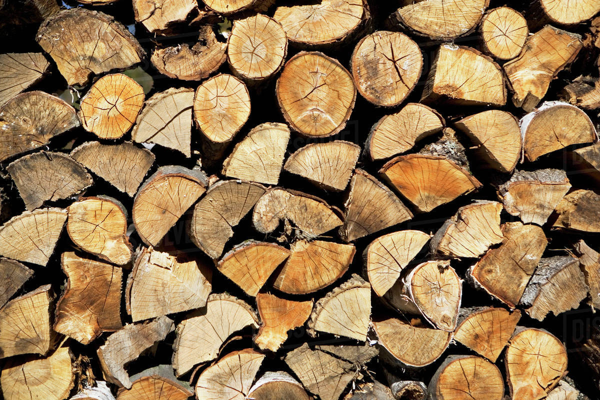 USA, Vermont, stack of firewood - Royalty-free Stock Photo | Dissolve
