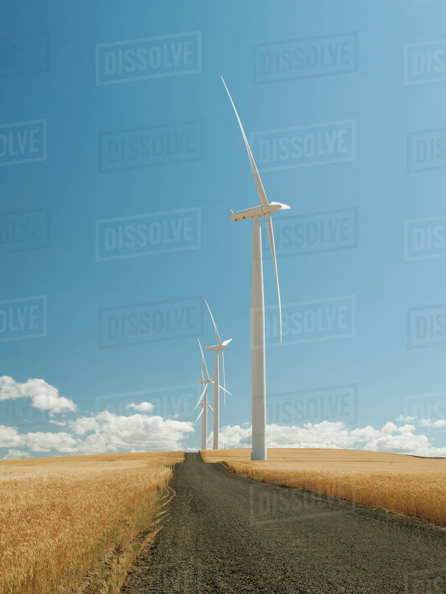 USA, Oregon, Wasco, Wind turbines along dirt road between wheat fields ...